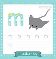 Letter m uppercase tracing monkey Royalty Free Vector Image