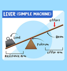 Double-slit experiment diffraction of light waves Vector Image