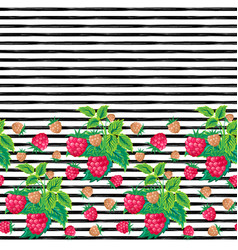 Raspberry hand drawn sketch striped seamless Vector Image