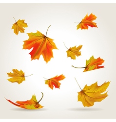 Fall of leaves Royalty Free Vector Image - VectorStock