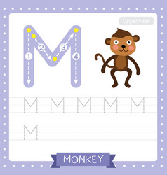 Letter m uppercase tracing mole Royalty Free Vector Image