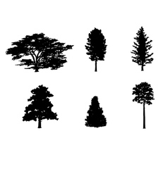 Tree Royalty Free Vector Image - VectorStock
