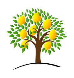 Lemon cartoon Royalty Free Vector Image - VectorStock