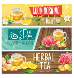 Herbal seamless banner Royalty Free Vector Image