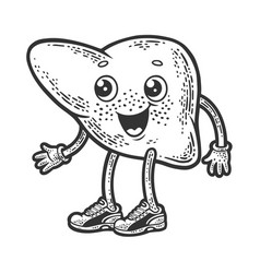 Human liver anatomy structure diagram science Vector Image