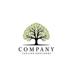 Abstract branch and tree logo for company business