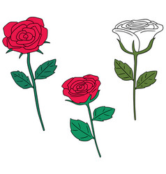 Two red roses Royalty Free Vector Image - VectorStock