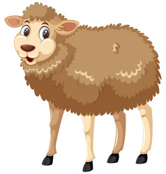 Cartoon happy lamb isolated on white background Vector Image