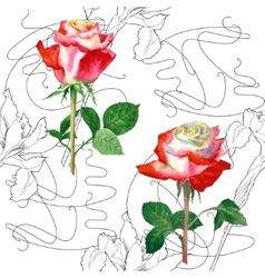 Red roses seamless watercolor pattern Royalty Free Vector