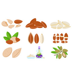 Tree icons set Royalty Free Vector Image - VectorStock