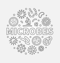 Microbes bacteria and viruses healthcare poster Vector Image