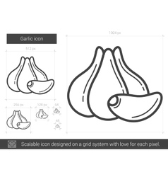 Garlic contours Royalty Free Vector Image - VectorStock