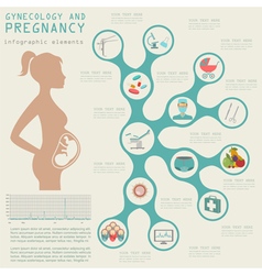 Pregnancy trimester infographic human growth Vector Image
