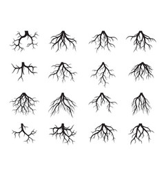 Set black tree roots Royalty Free Vector Image