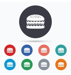 Burger infographics structure of hamburger Vector Image