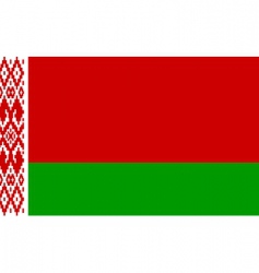 Belarus opposition flag during peaceful street Vector Image
