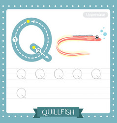 Letter q uppercase tracing practice worksheet Vector Image