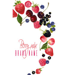 Berry mix composition Royalty Free Vector Image