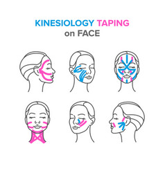 Kinesiology taping Royalty Free Vector Image - VectorStock