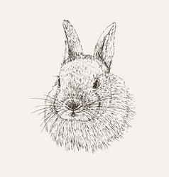 Hand drawn easter card Royalty Free Vector Image