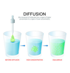 Experiment with salt and water making a saline Vector Image