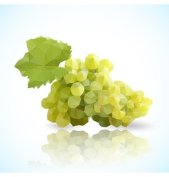 Triangulated purple grape Royalty Free Vector Image