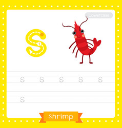 Letter s uppercase and lowercase tracing practice Vector Image