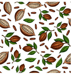 Cocoa frame superfood drawing template Royalty Free Vector