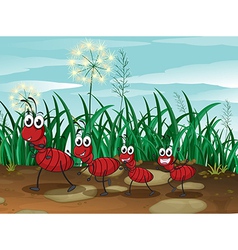 An ant Royalty Free Vector Image - VectorStock