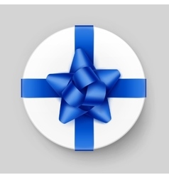 Two white doves with blue Royalty Free Vector Image