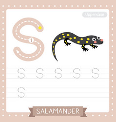 Letter s uppercase tracing practice worksheet Vector Image