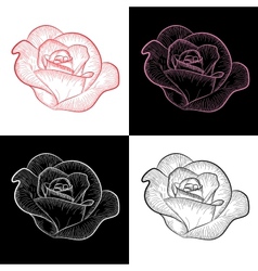 Rose Royalty Free Vector Image - VectorStock