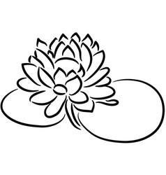 Bellflower Royalty Free Vector Image - VectorStock