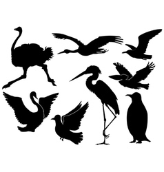 Seagull silhouettes vector by aslantopcu08 - Image #1275822 - VectorStock
