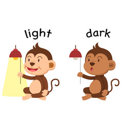 Opposite adjective with strong and weak Royalty Free Vector