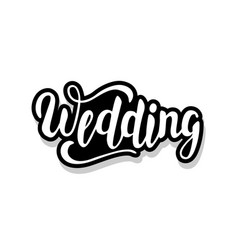 Science calligraphy template text for your design Vector Image