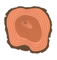 Tree ring icon timber texture and industry Vector Image