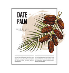 Seamless border with date palm leaves and ripe Vector Image