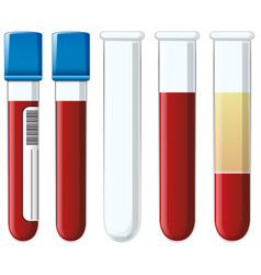 Blood cells in test tube Royalty Free Vector Image