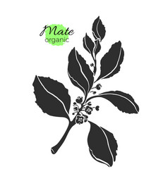 Mate 1 branch shape Royalty Free Vector Image - VectorStock