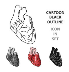 Human heart structure diagram medical science Vector Image