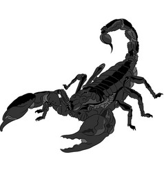 Cartoon happy scorpion Royalty Free Vector Image