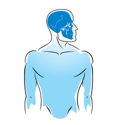 Human body systems Royalty Free Vector Image - VectorStock