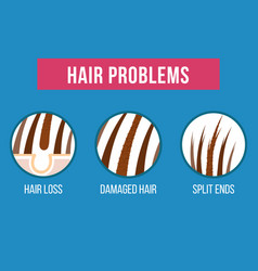 Hair care treatment Royalty Free Vector Image - VectorStock