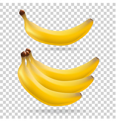 Blue and red ribbons on transparent background Vector Image