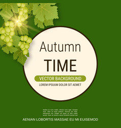 Grape square frame Royalty Free Vector Image - VectorStock