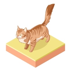 Fat cat icons Royalty Free Vector Image - VectorStock