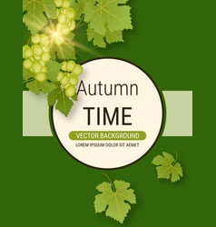 Grape square frame Royalty Free Vector Image - VectorStock