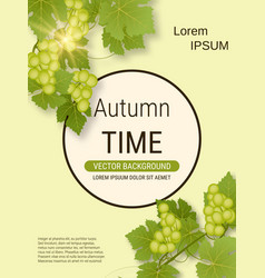 Grape square frame Royalty Free Vector Image - VectorStock