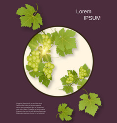 Grape square frame Royalty Free Vector Image - VectorStock